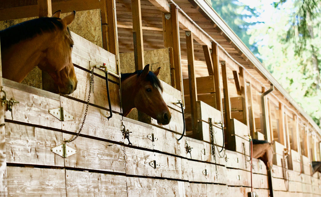 Explore the Barn – Parkside Stables