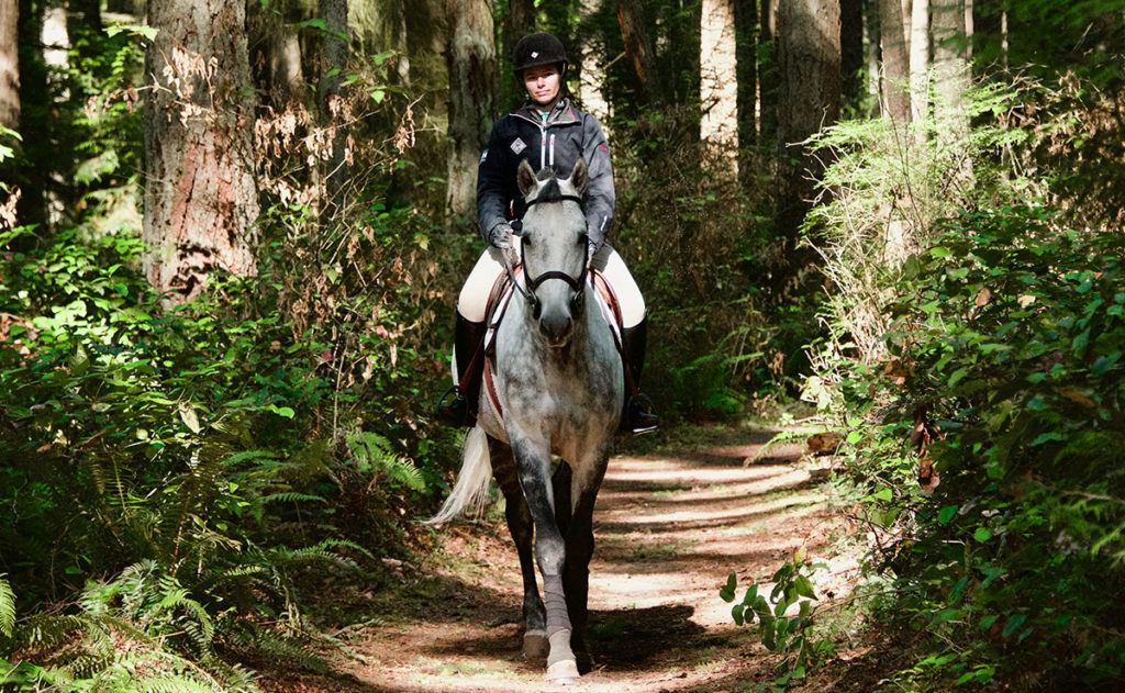 Explore the Barn – Parkside Stables