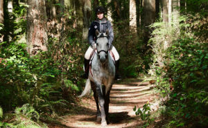 Explore the Barn – Parkside Stables