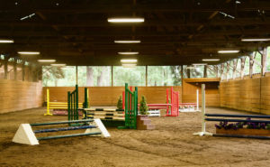 Explore the Barn – Parkside Stables
