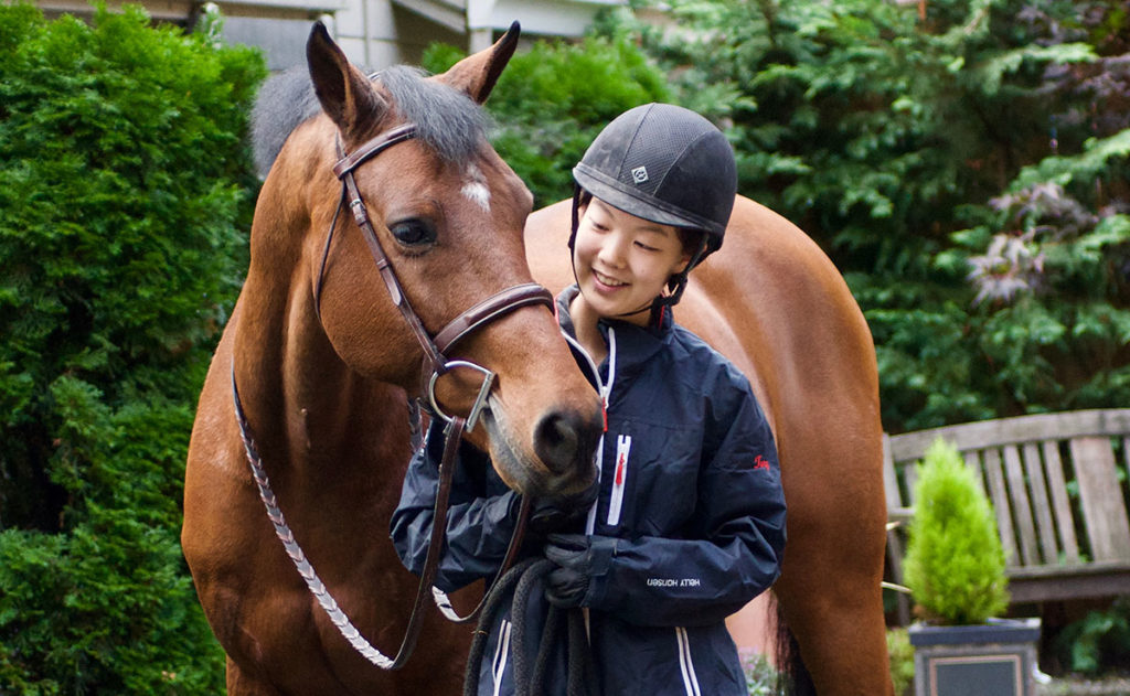 Training Program – Parkside Stables